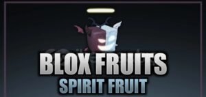 Spirit Fruit Guide and Full Damage Calculations